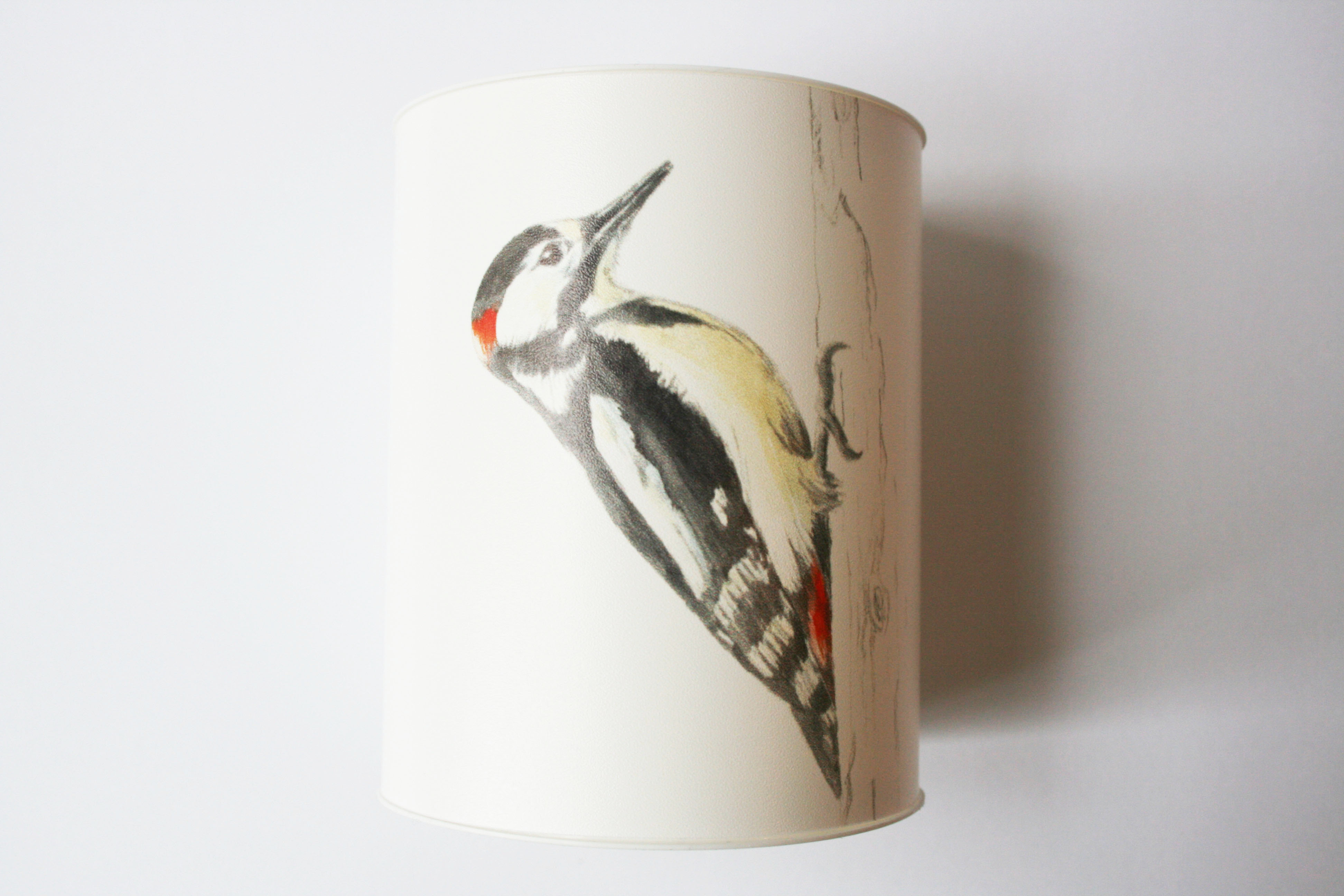 LU03 Pic épeiche - Marie Charozé